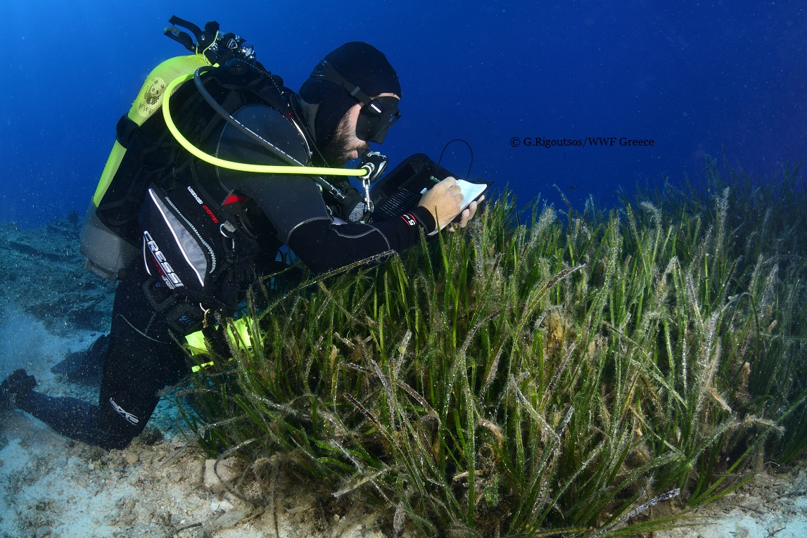 ΚΥΚΛΑΔΕΣ LIFE